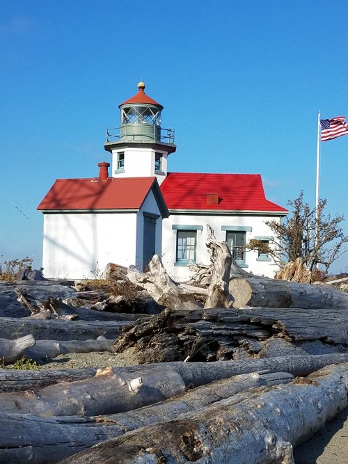 Color Inspiration - A Classic Color Combo | Wire Jewelry Design